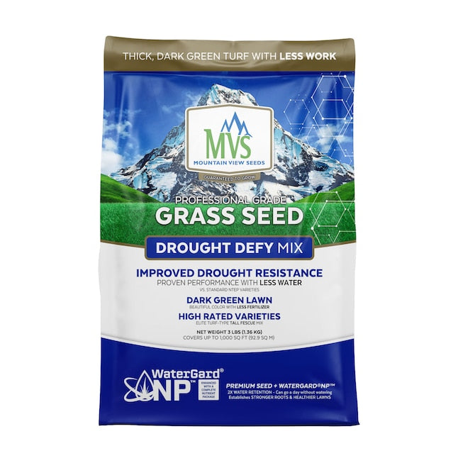 Professional Grade Grass Seed Designed For Heat And Drought – MVS Lawn