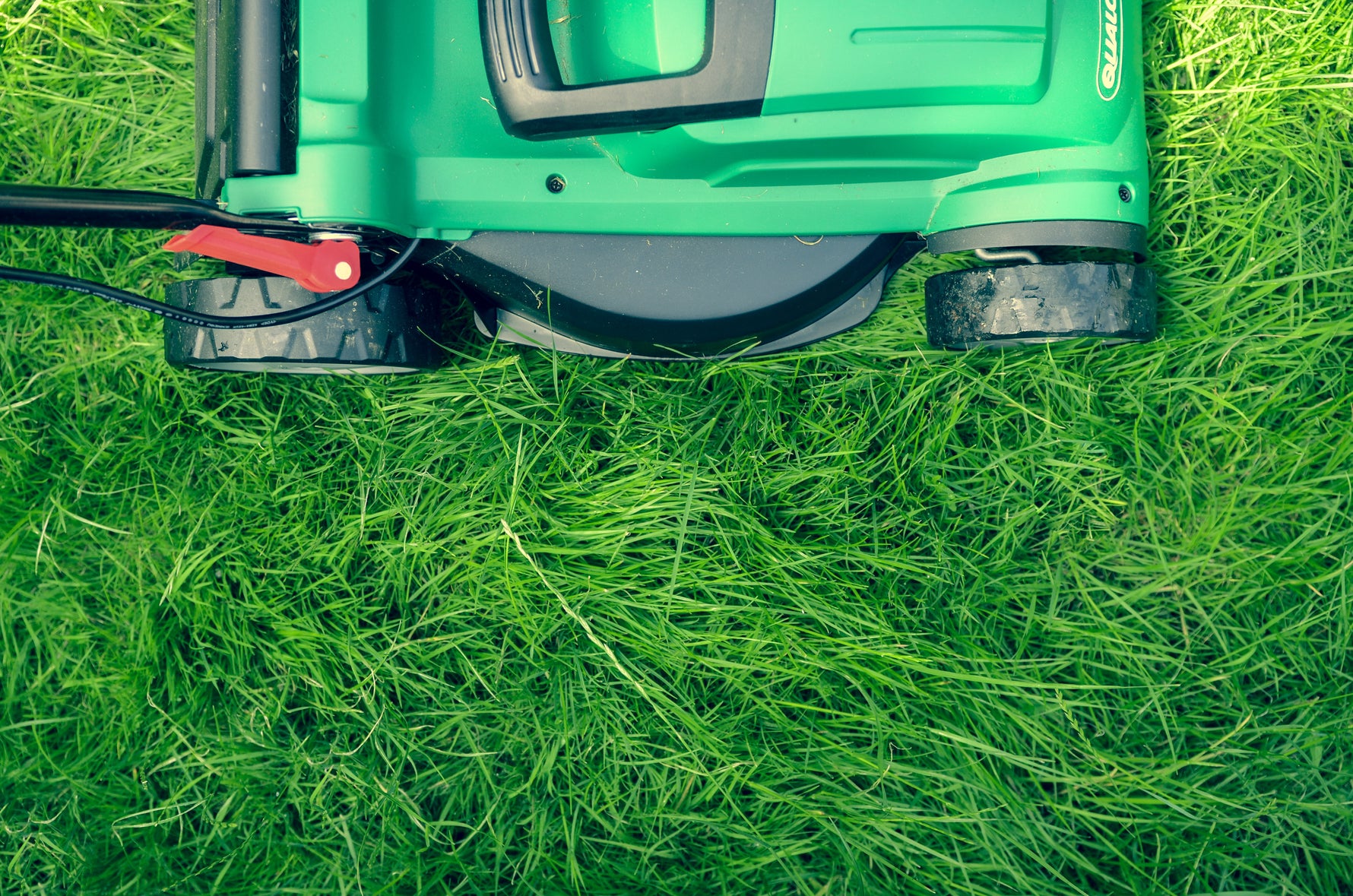 Top Choice Grass Seed for Lawns and Pastures | Mountain View Seeds ...