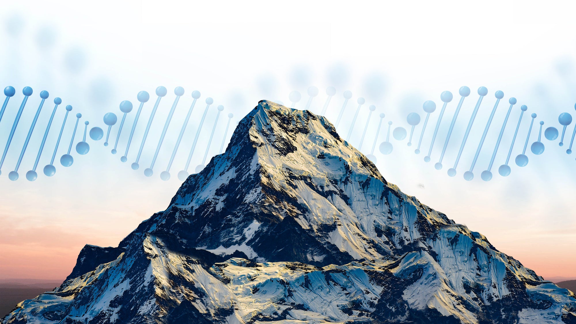 Industry-Leading Grass Seed Genetics & Breeding | Mountain View Seeds ...