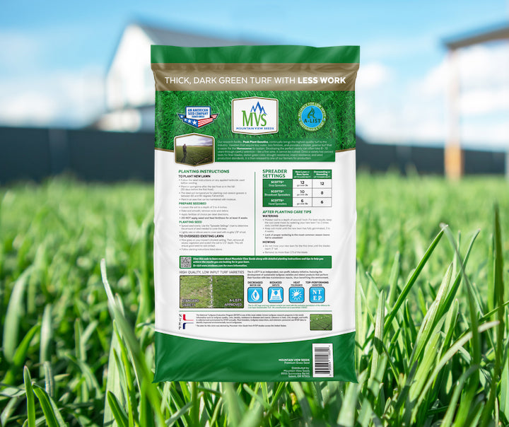 Sun & Shade Mix – MVS Lawn